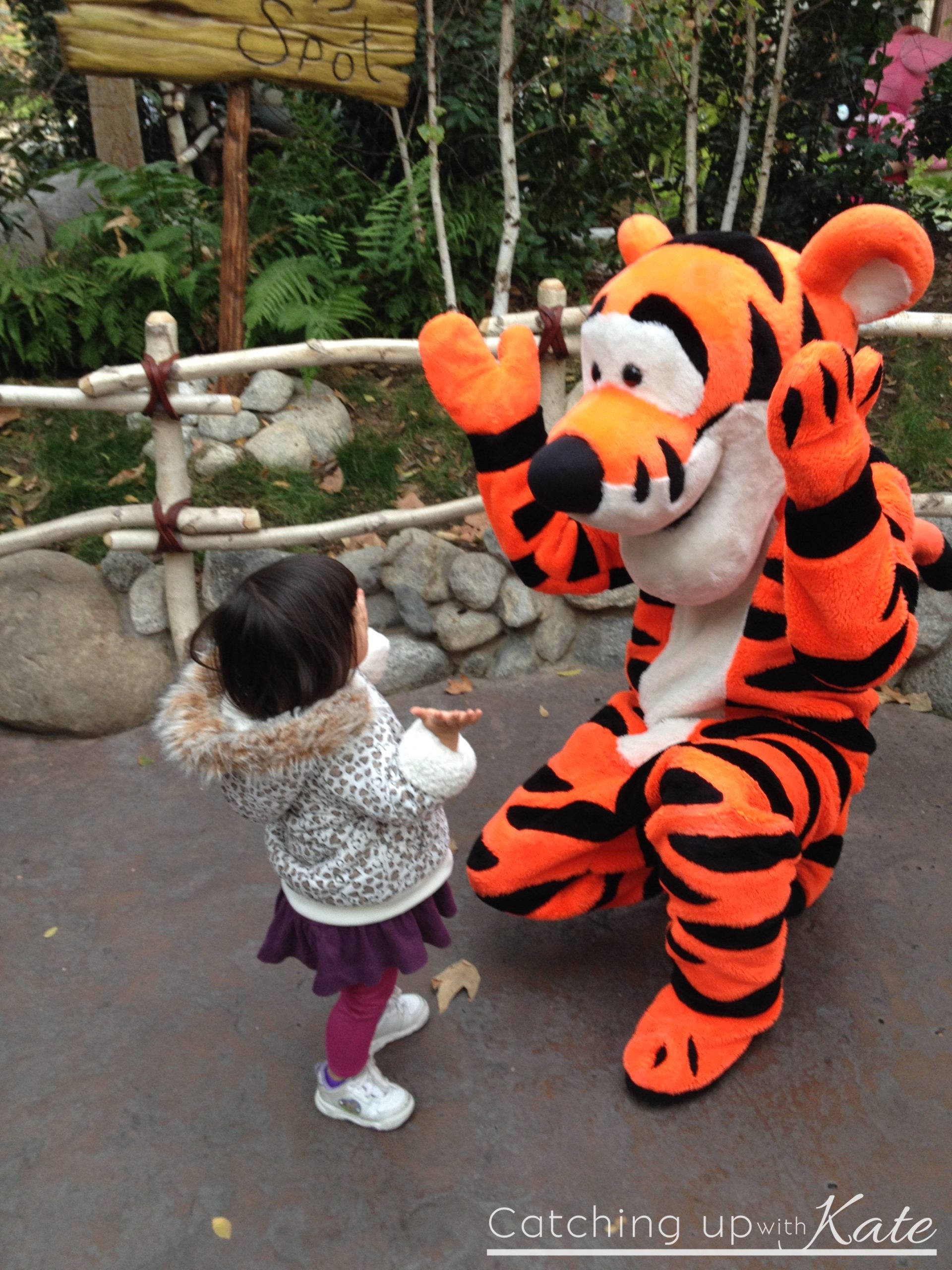 Where to Meet Characters at Disneyland in California