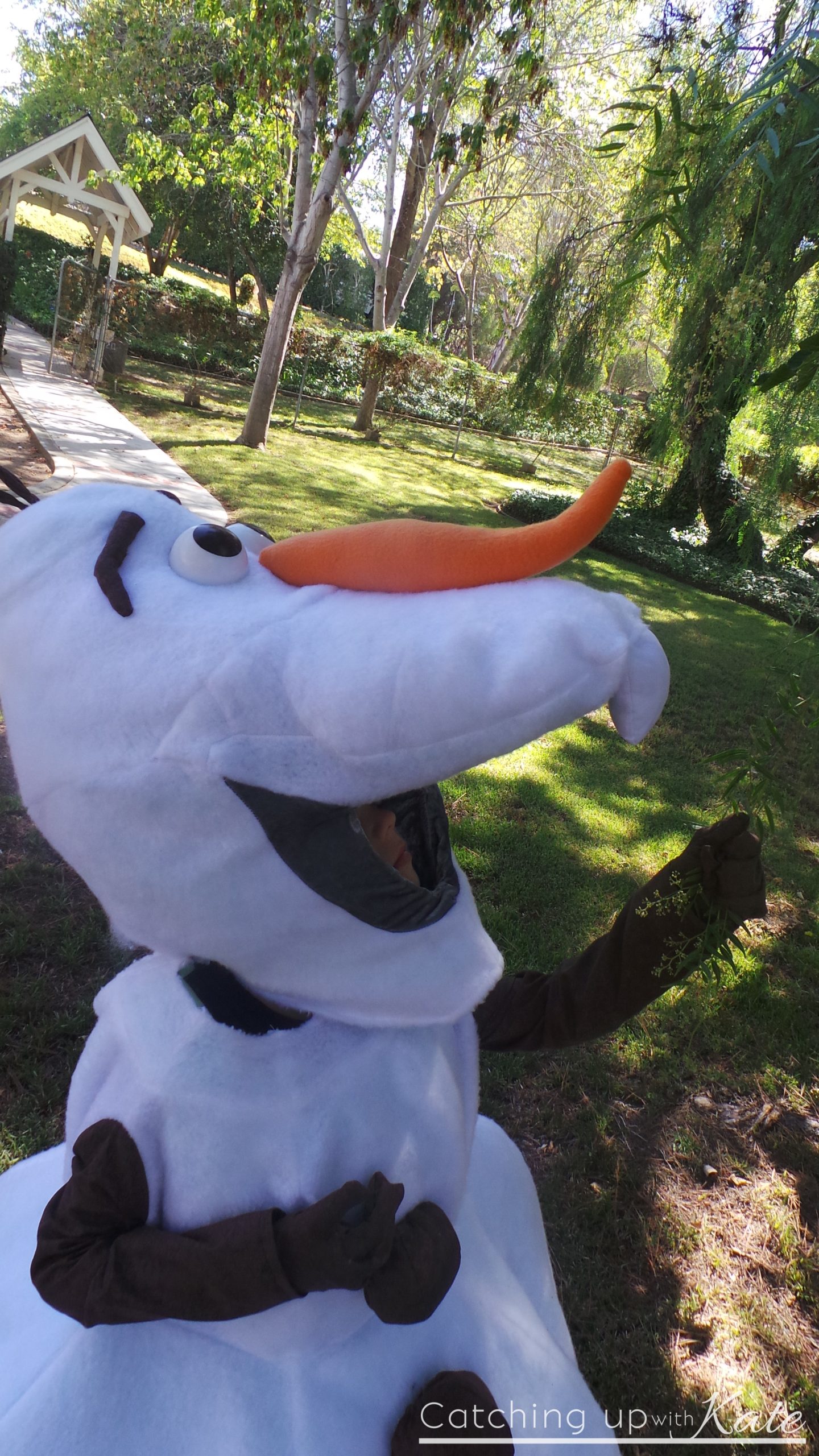 DIY Olaf Costume for Halloween