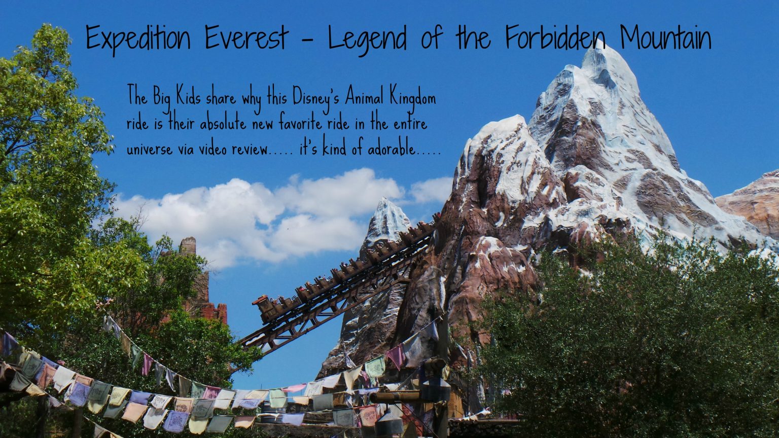 Expedition Everest - Legend of the Forbidden Mountain