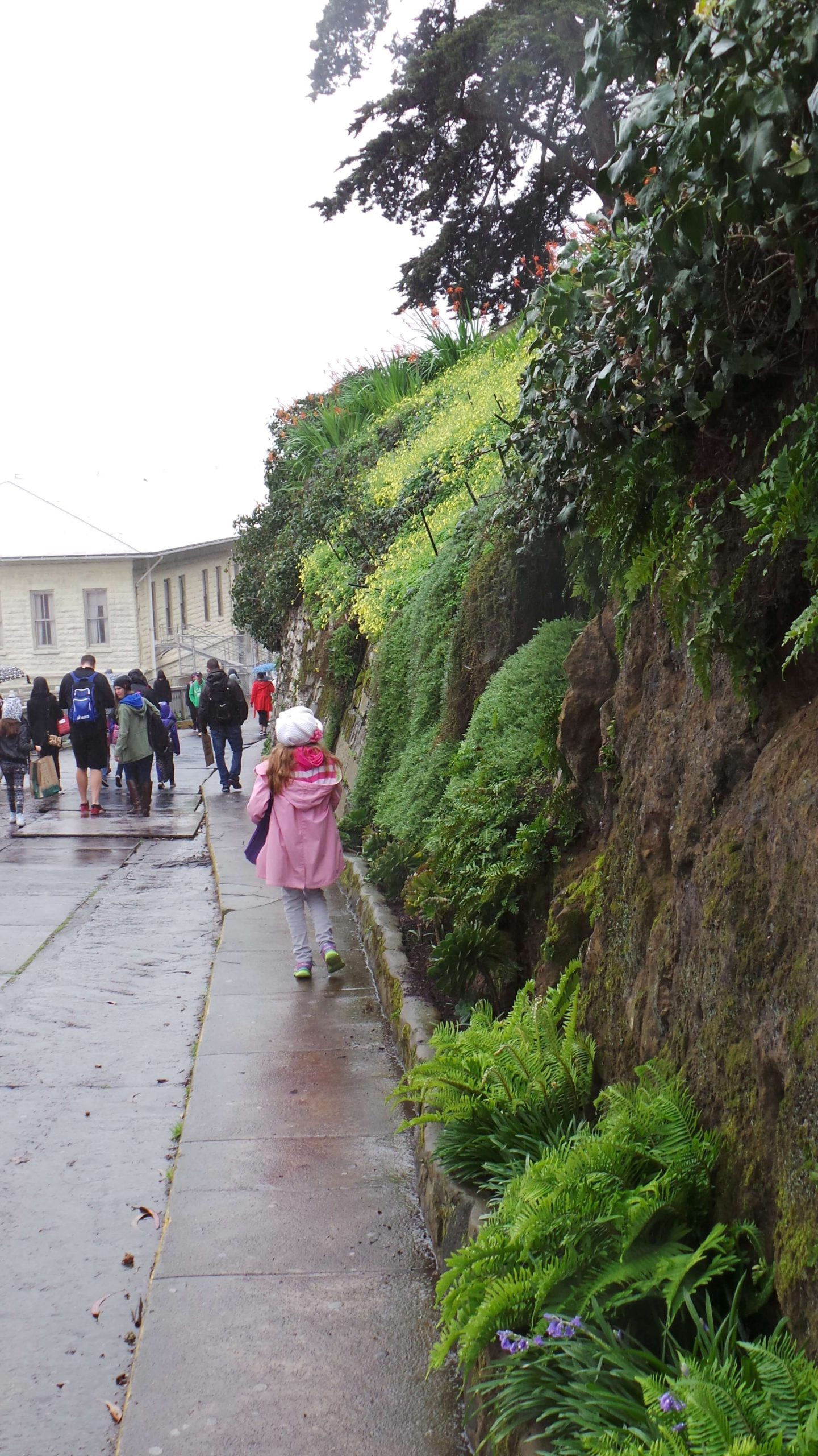 Alcatraz Island