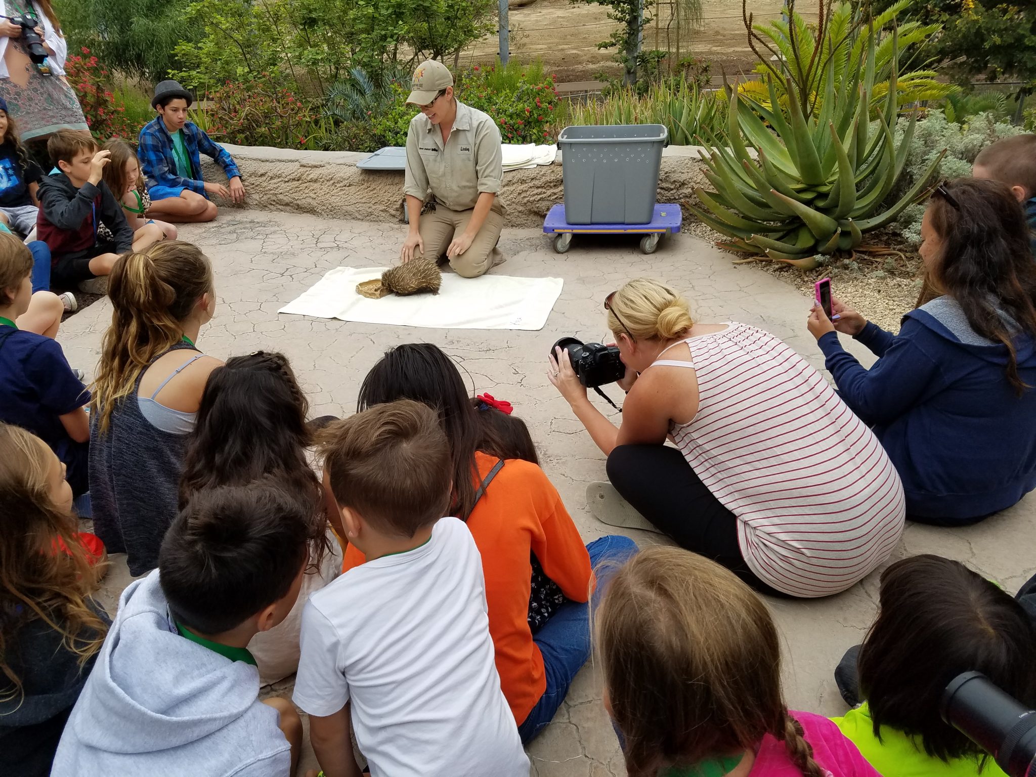 Camping options at the World Famous San Diego Zoo