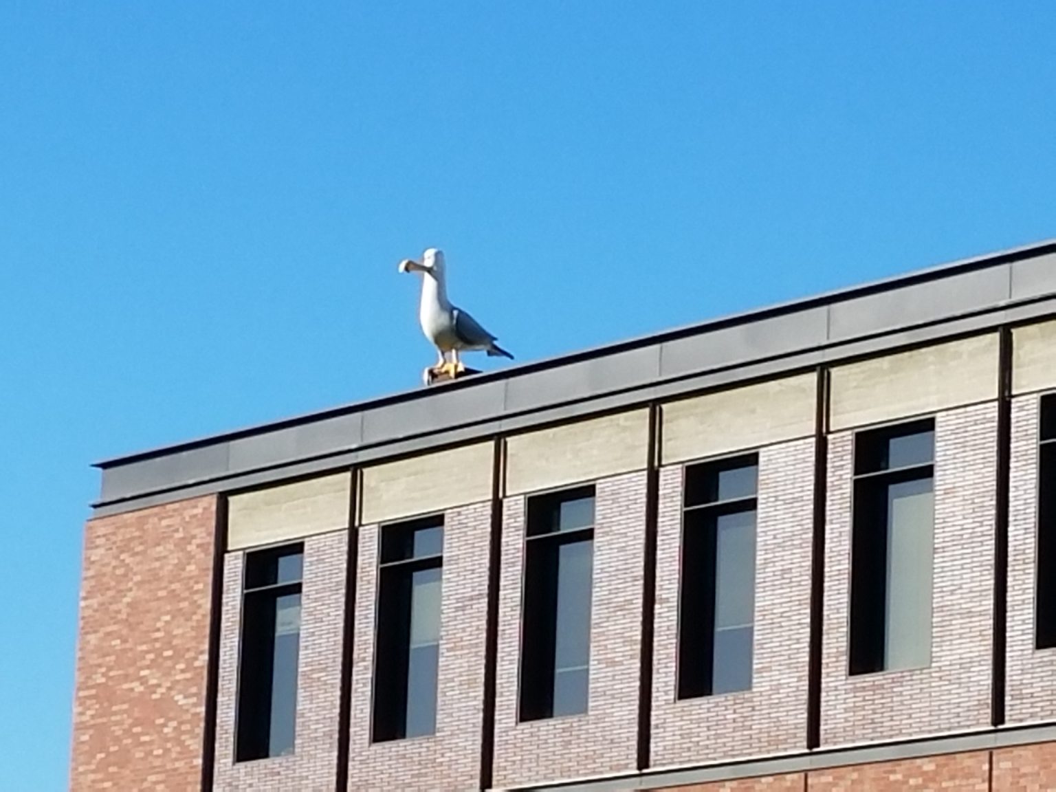 5 cool things I saw on the Pixar Campus - Highlights Along the Way