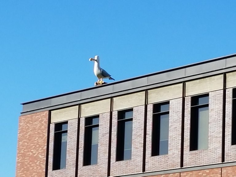 5 cool things I saw on the Pixar Campus - Highlights Along the Way