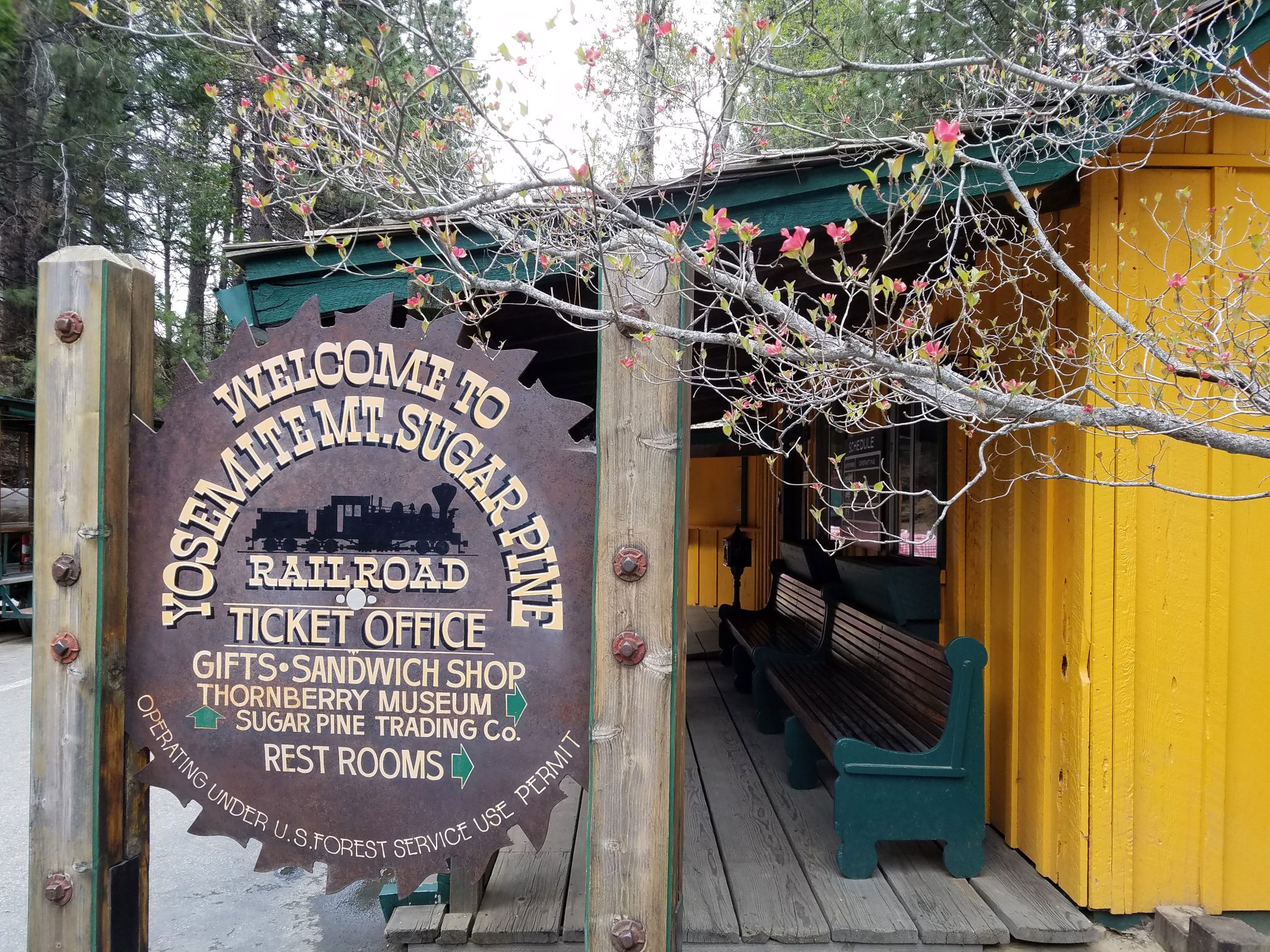 Learn and explore on the Yosemite Mountain Sugar Pine Railroad