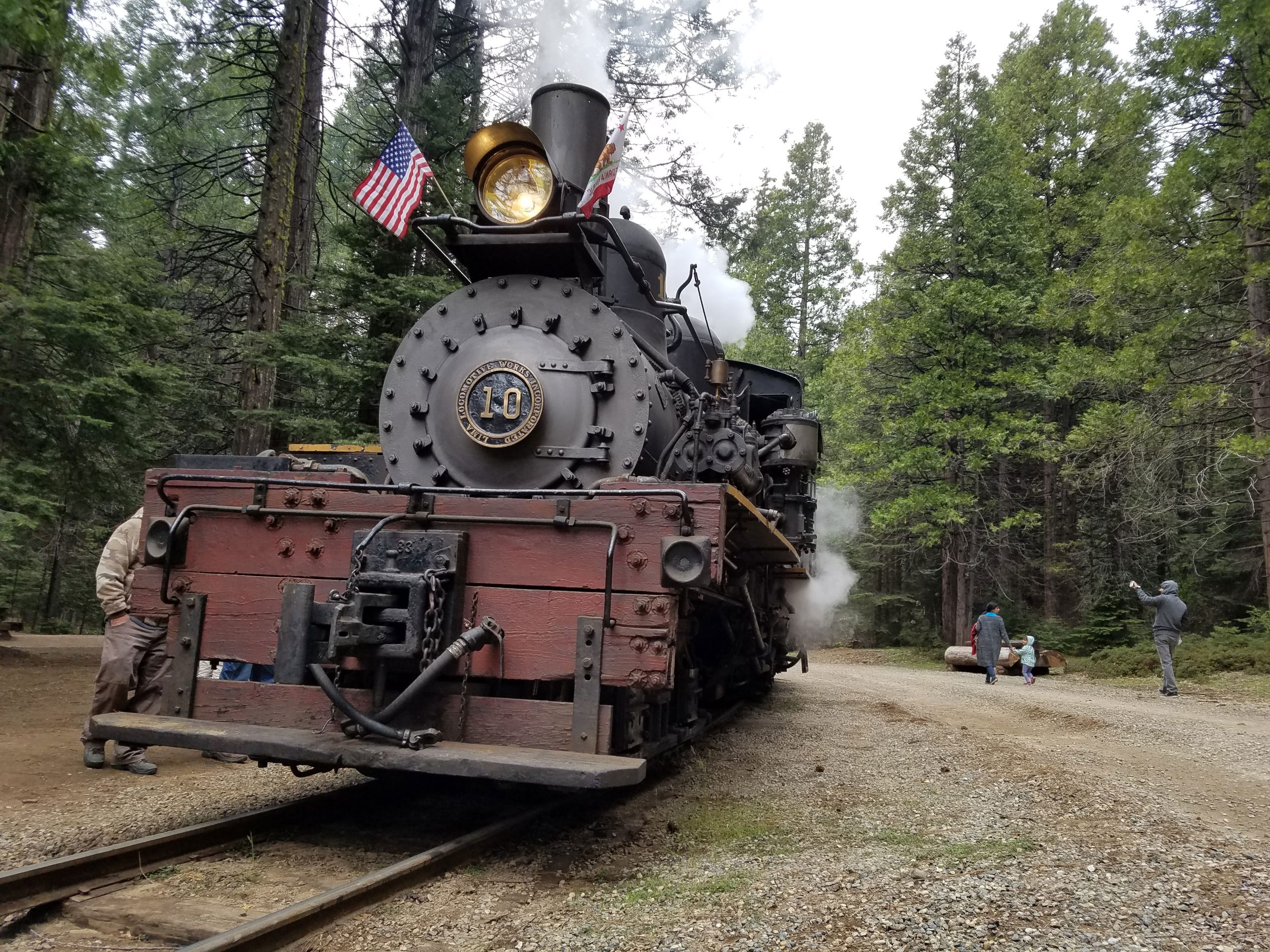Learn and explore on the Yosemite Mountain Sugar Pine Railroad