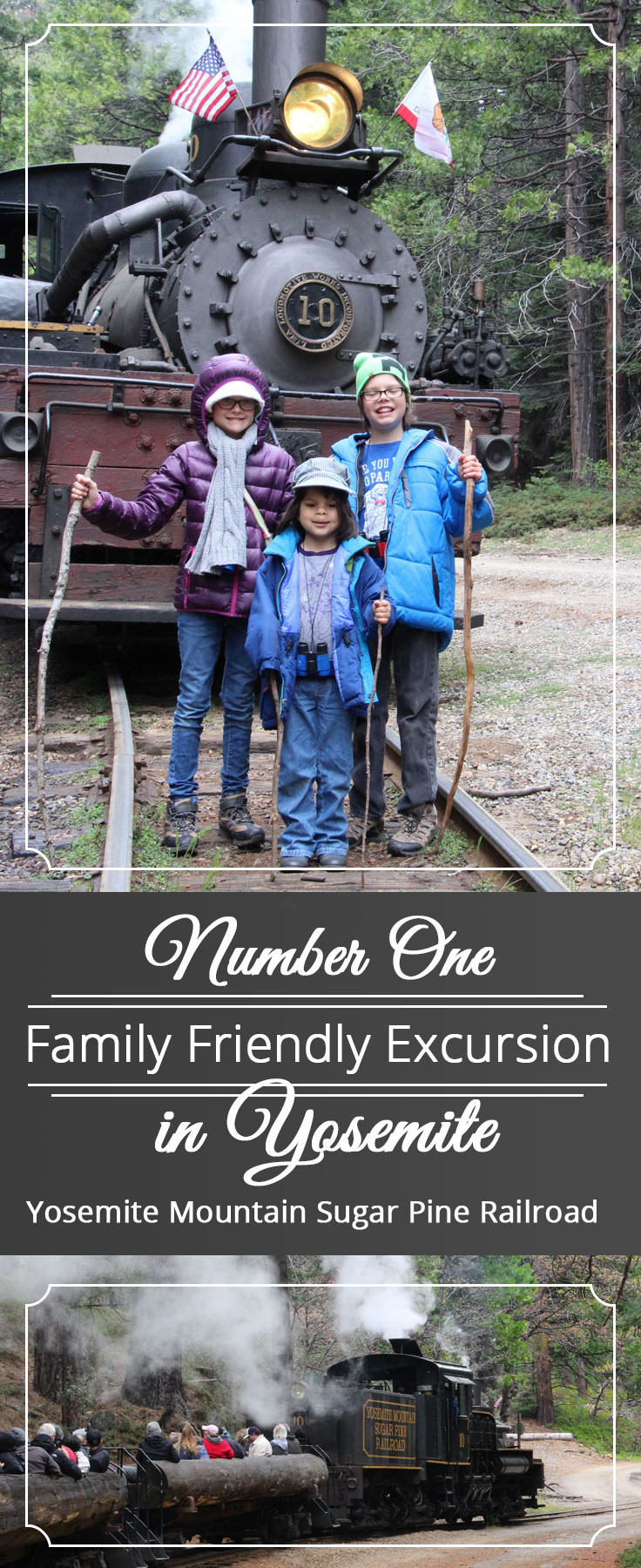 Learn and explore on the Yosemite Mountain Sugar Pine Railroad