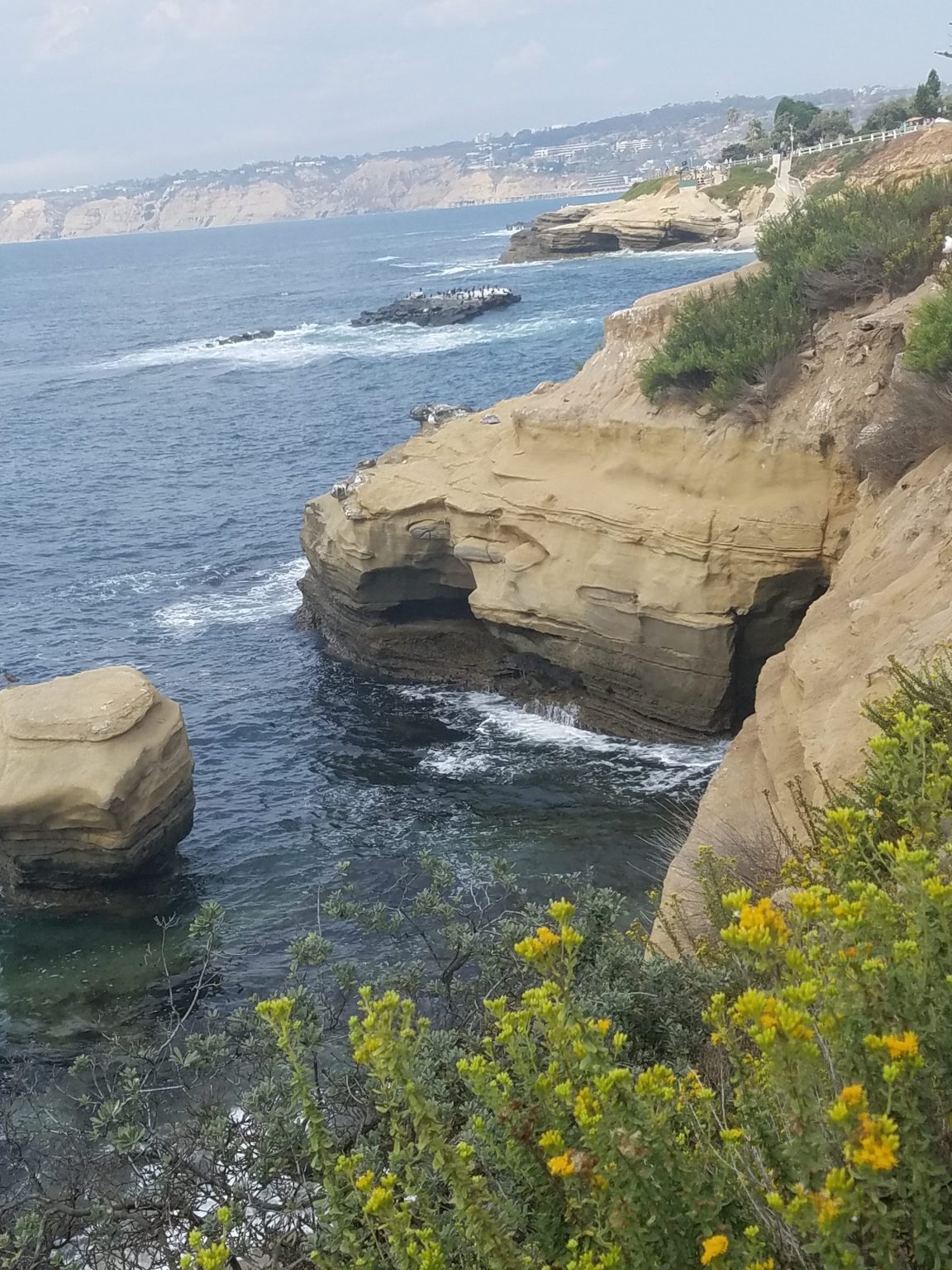 Pictures of La Jolla, California that will inspire your next vacation.