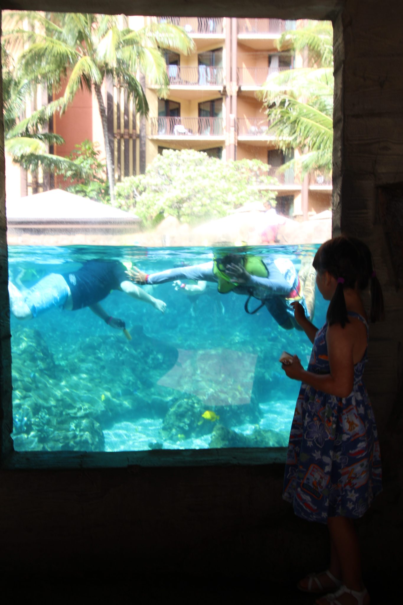 An inside look at Aulani, the only Disney Resort in Hawaii!