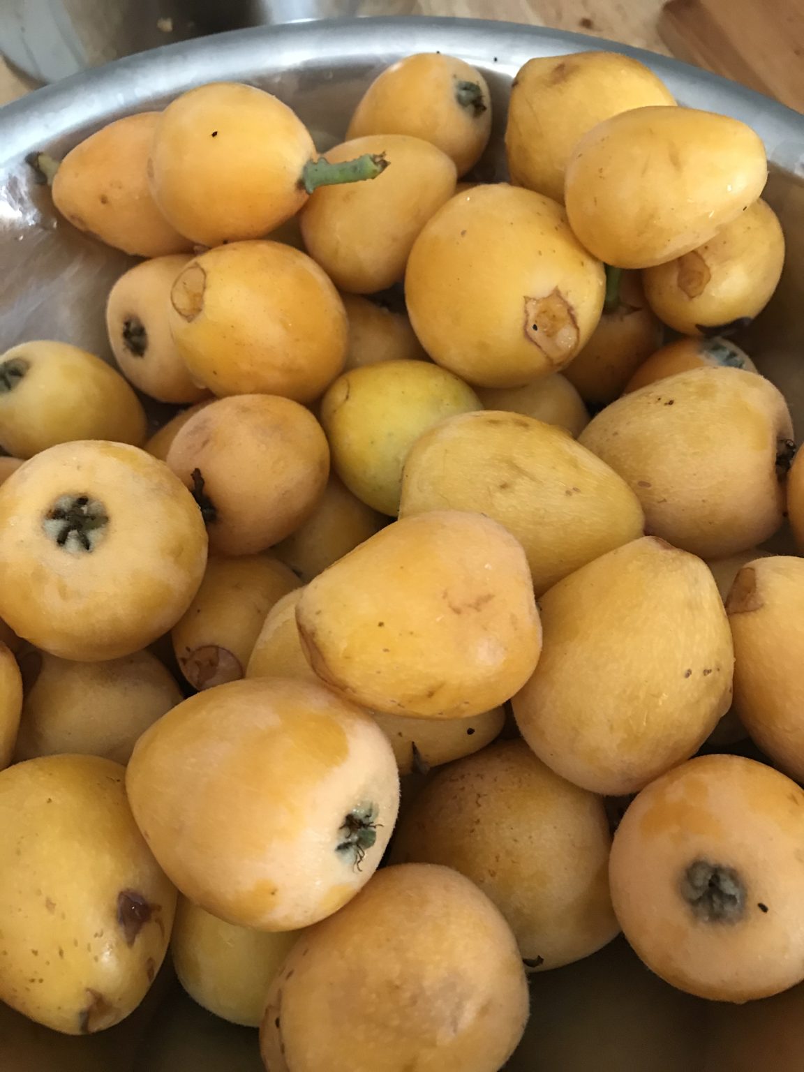 Loquat Bars Recipe - Simple Dessert to make with loquats