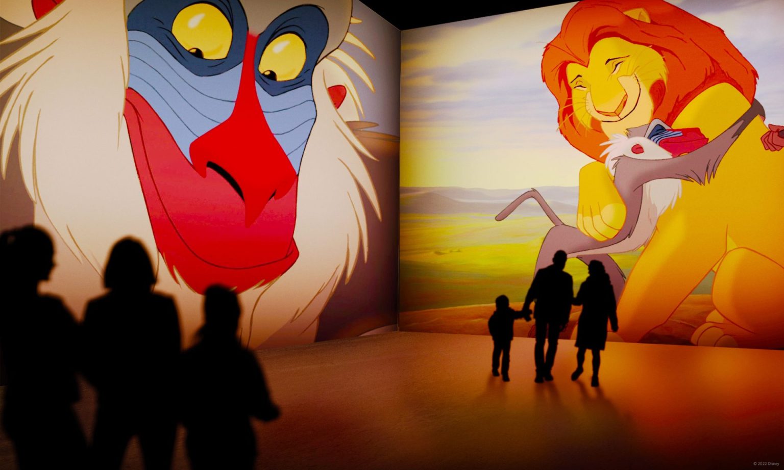 Disney Animation Immersive Experience