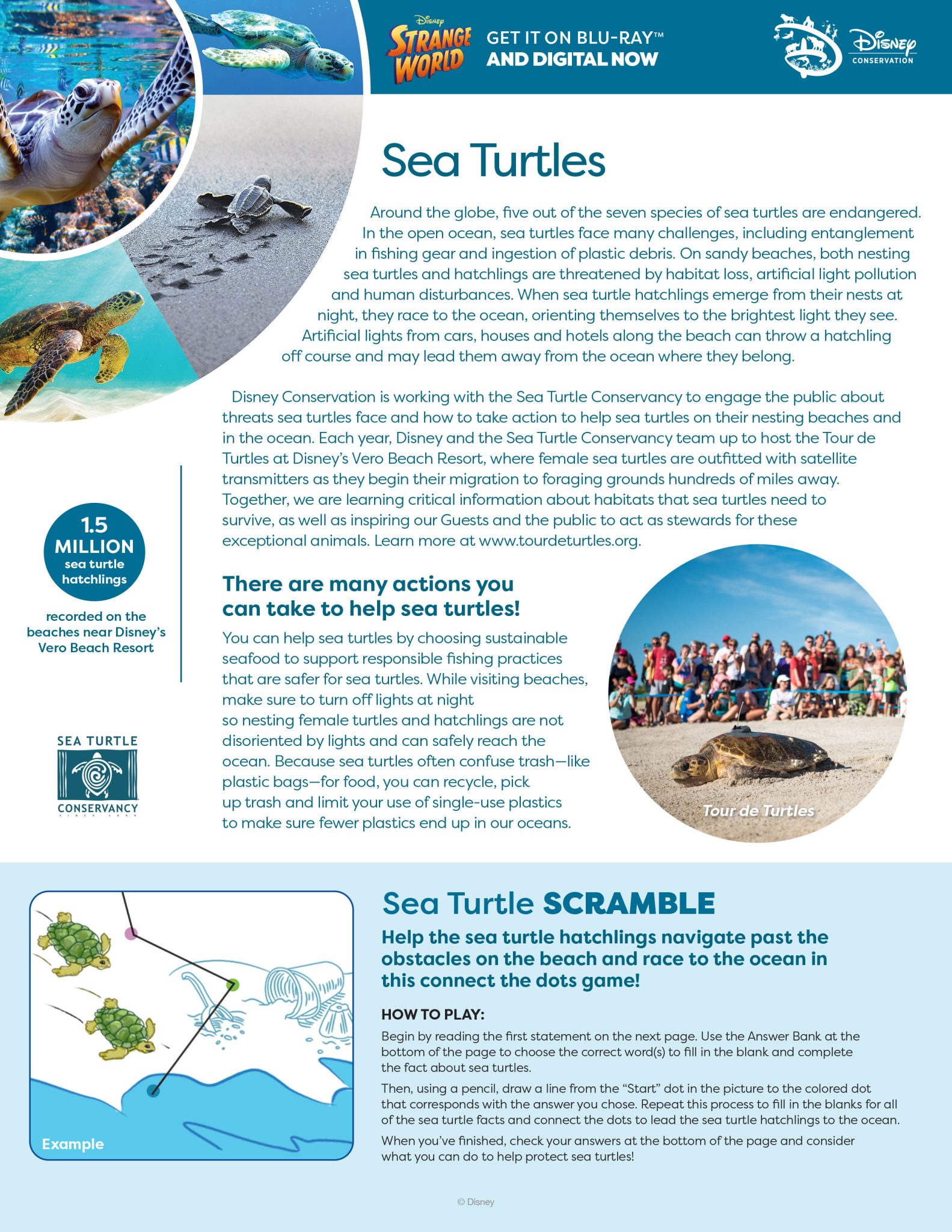 FREE Sea Turtle Earth Day Printable Activity Page