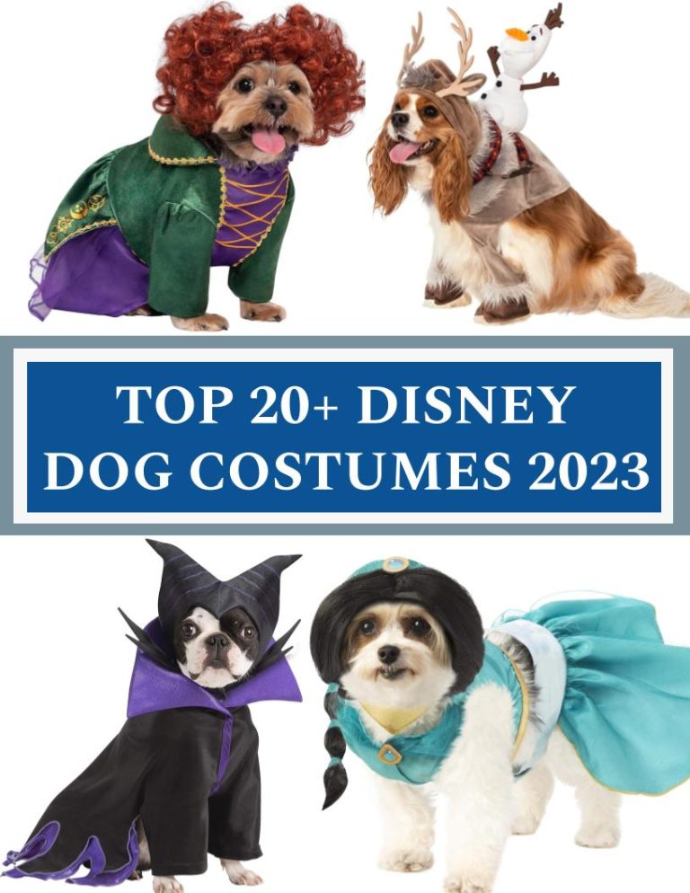 Disney Dog Costumes for Halloween - Highlights Along the Way