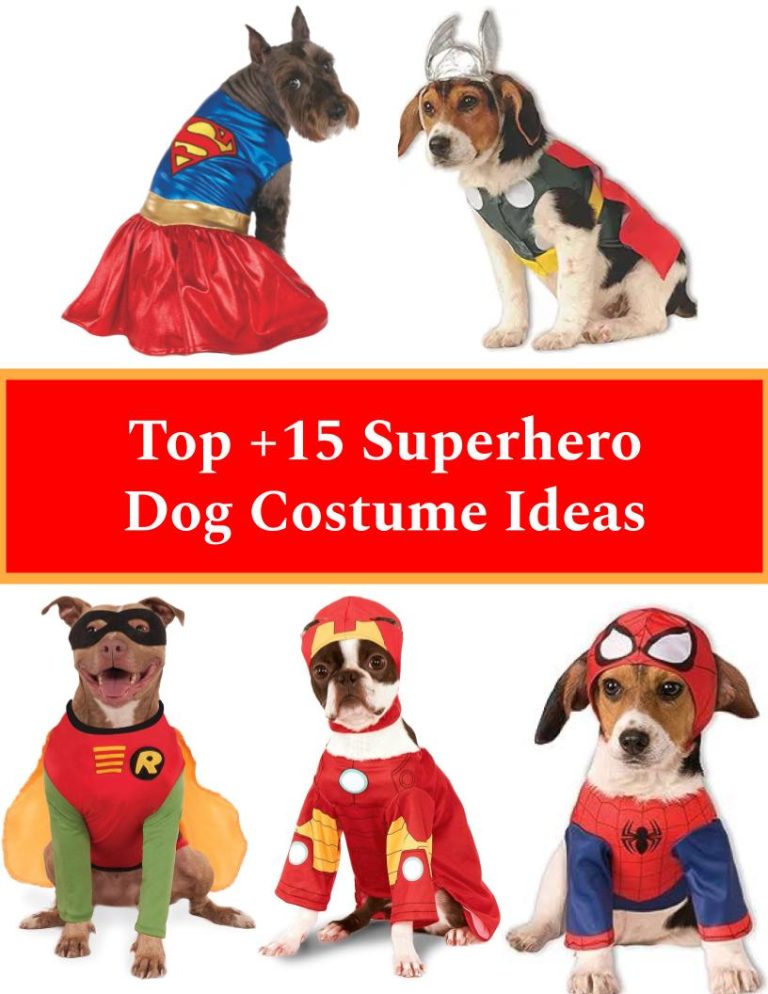 Superhero Dog Costumes and Ideas + Where to Buy Online!